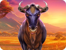 wild wildebeest wins